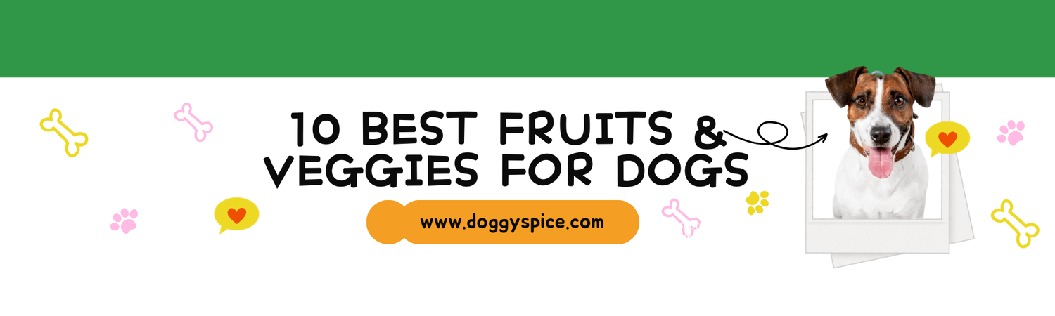 10 Best Fruits and Vegetables For Dogs – Doggy Spice