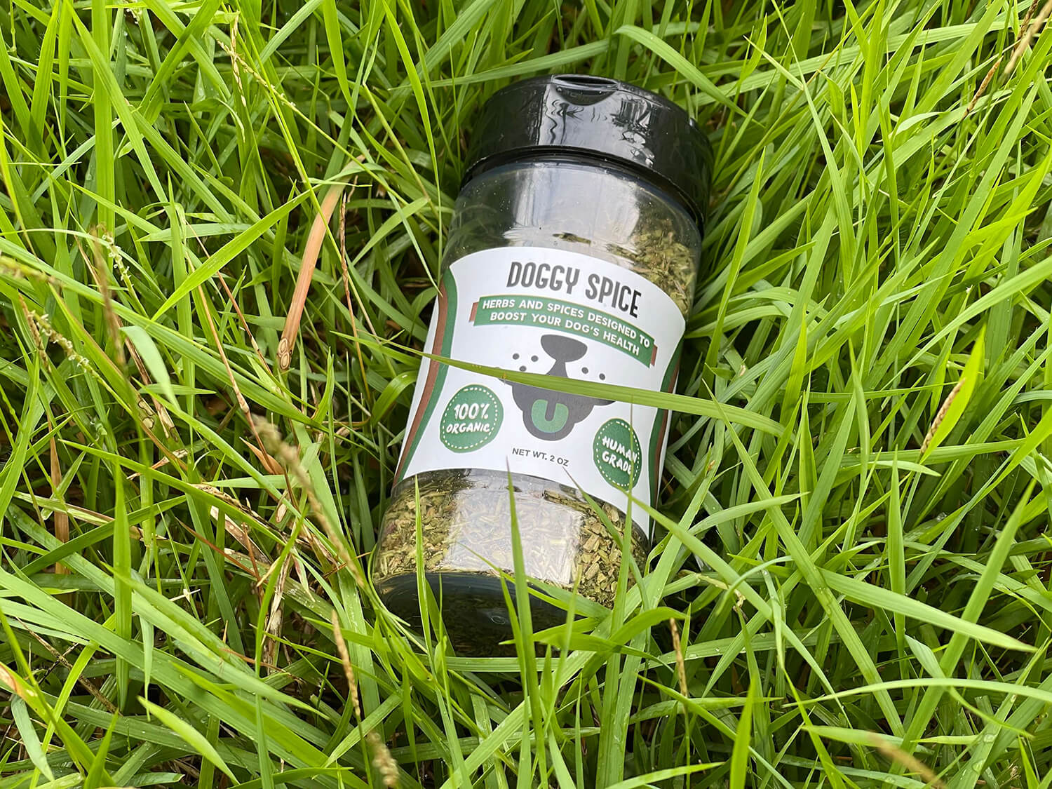 Doggy Spice—All natural blend of spices to boost your dog's health