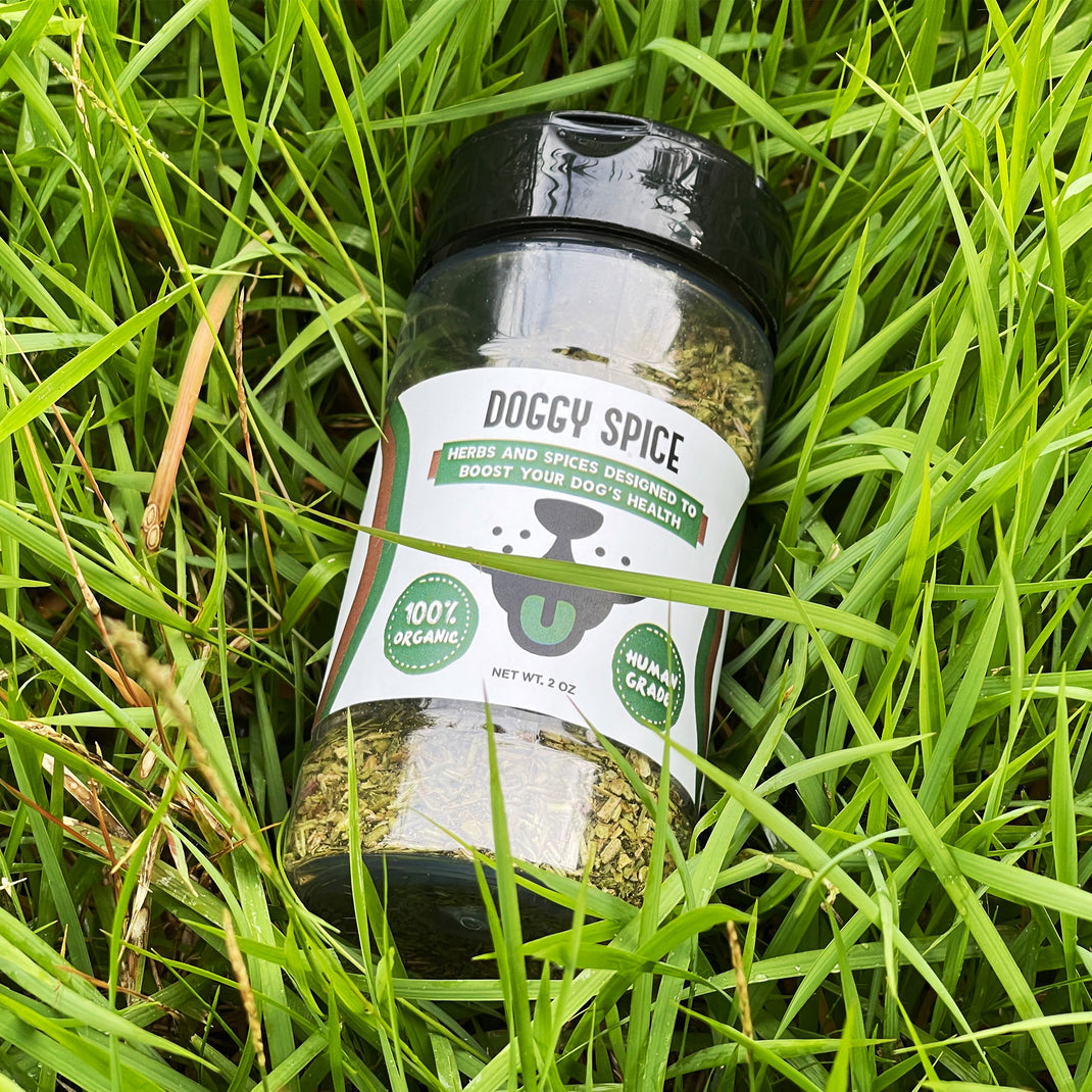 Is Thyme Safe for Dogs? Benefits of This Powerful Herb – Doggy Spice